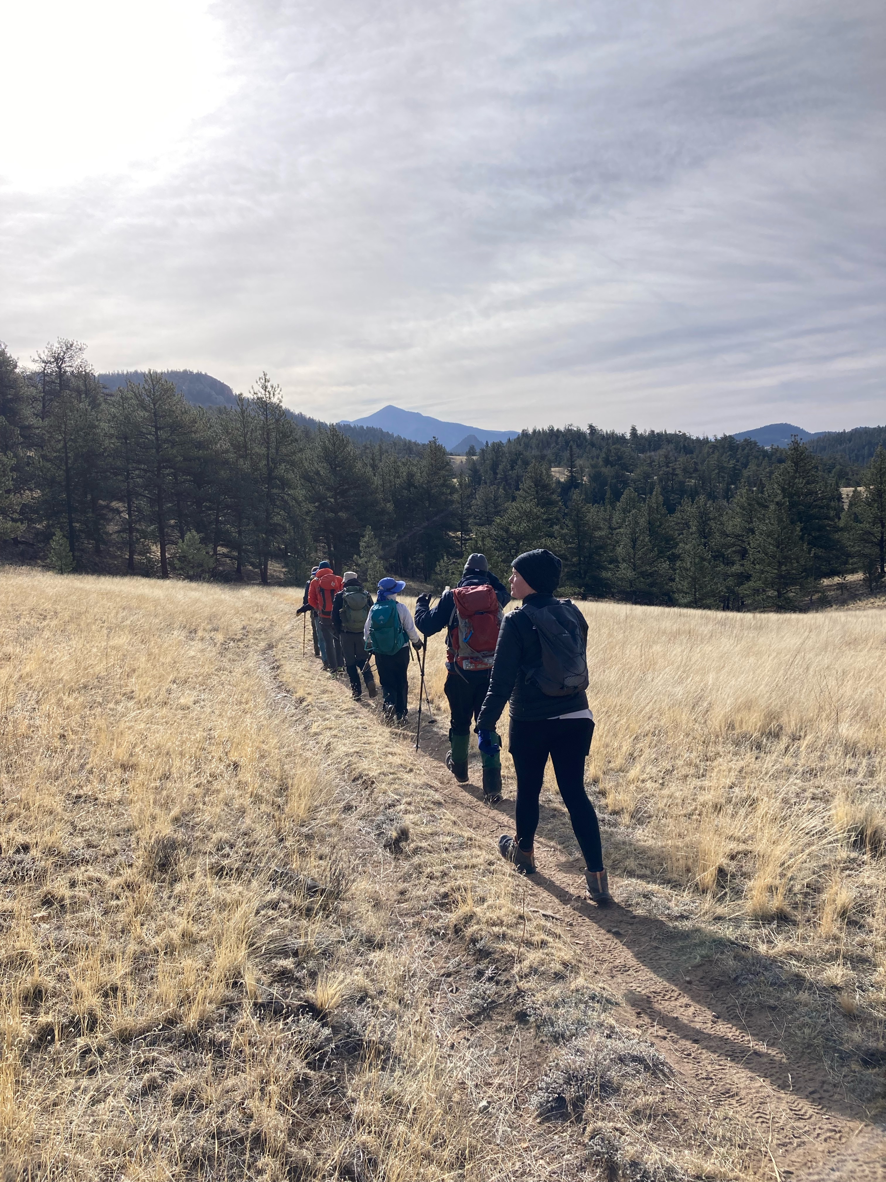 Journey to the Land of the Giants – Western Wilderness Wanderer